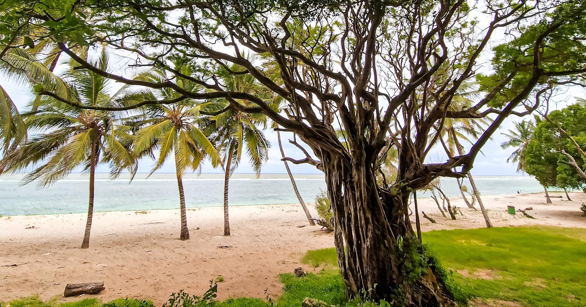 Tiwi Beach, starfish, and Africa-shaped pool | Lisa & Pol