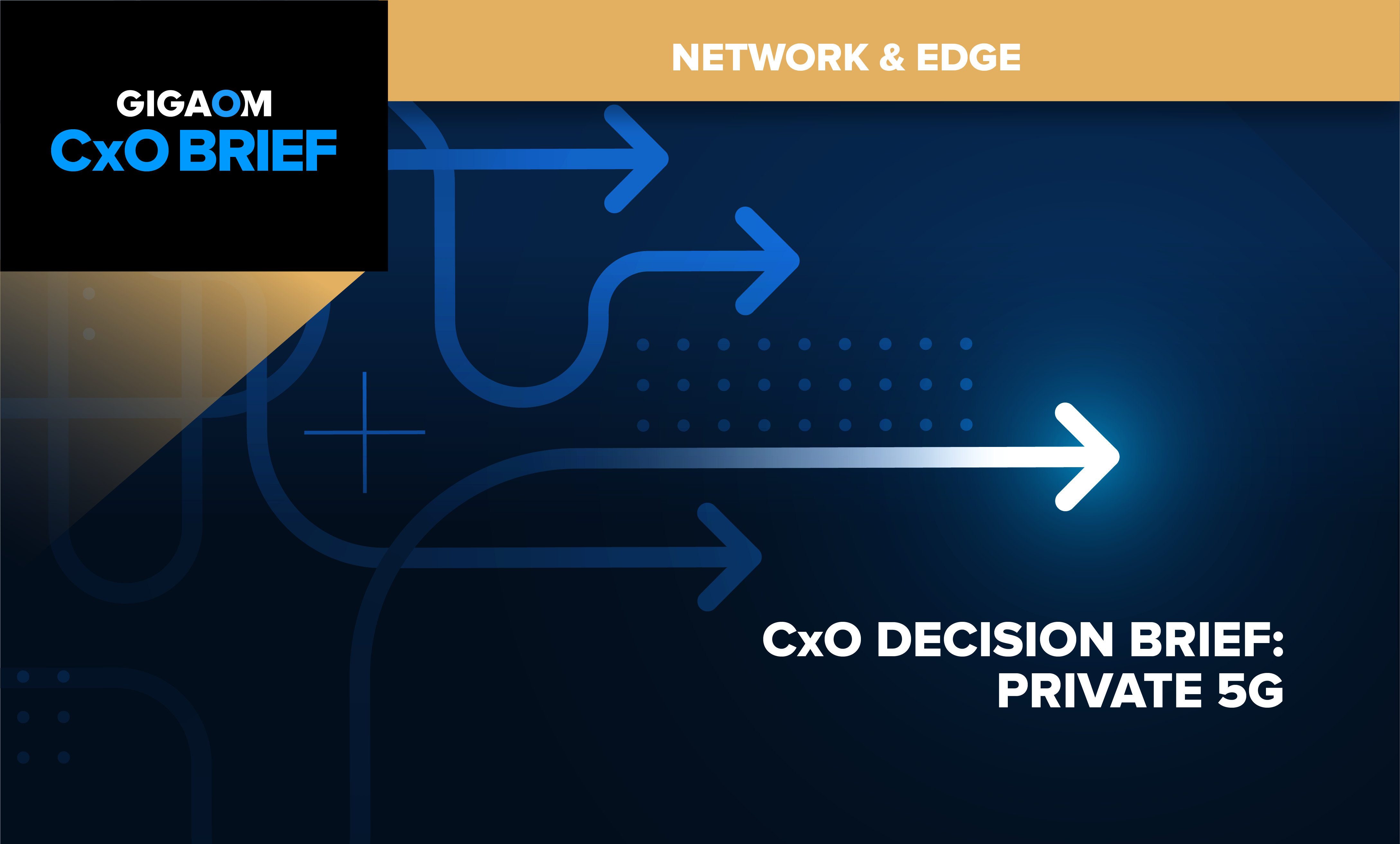 Gigaom | GigaOm Radar for Network as a Service Solutions