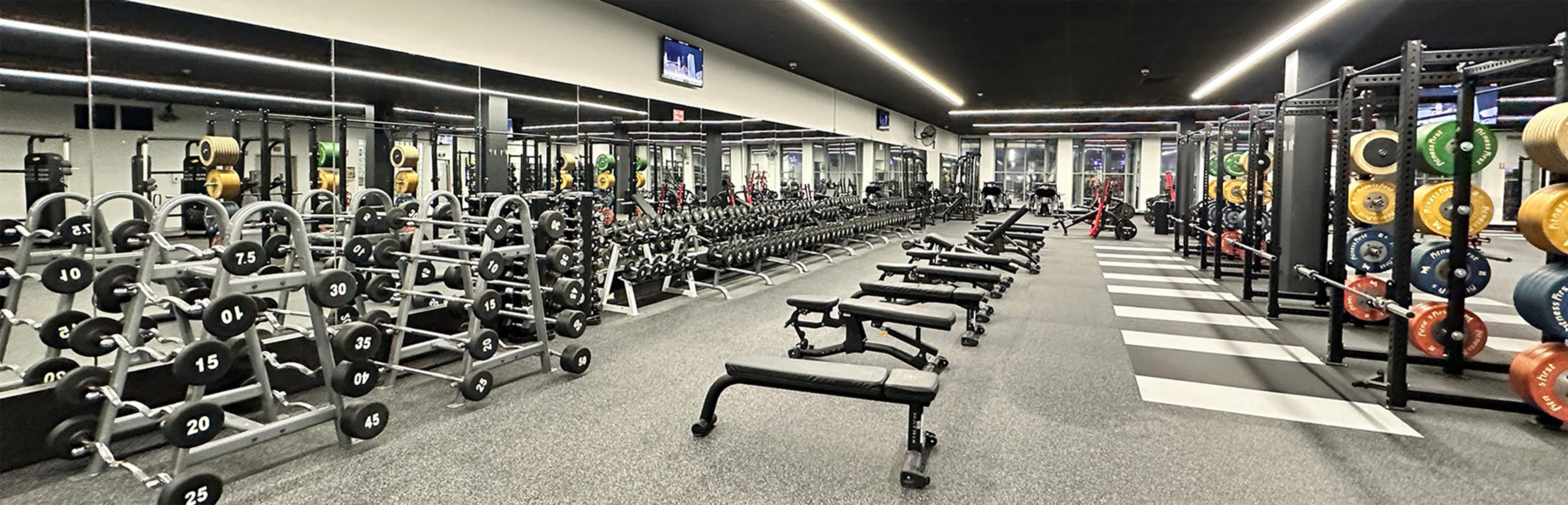 Mona Vale | Platinum Gym | Fitness First