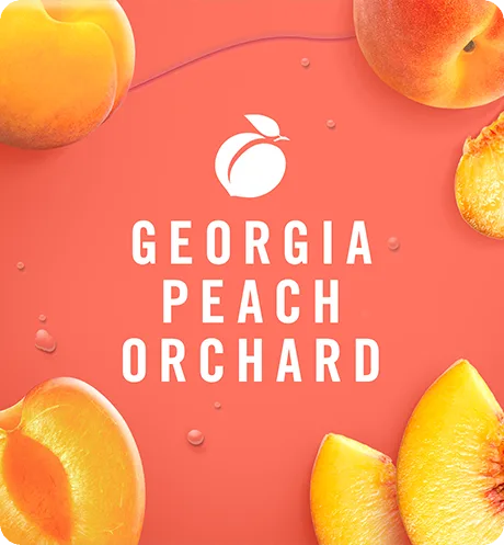 Peach PLUG Air Freshener | Febreze