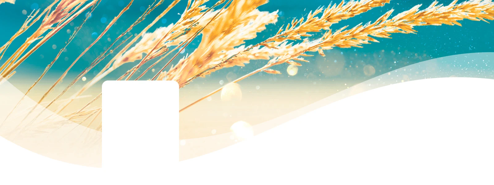 Warm Ocean Breeze Air Mist | Febreze AIR