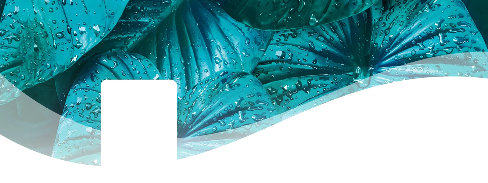 Rainforest Scent | Febreze PLUG