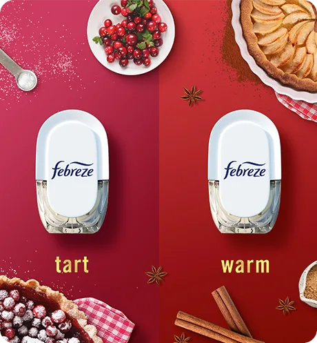 Holiday Double Scent Pack | Febreze PLUG