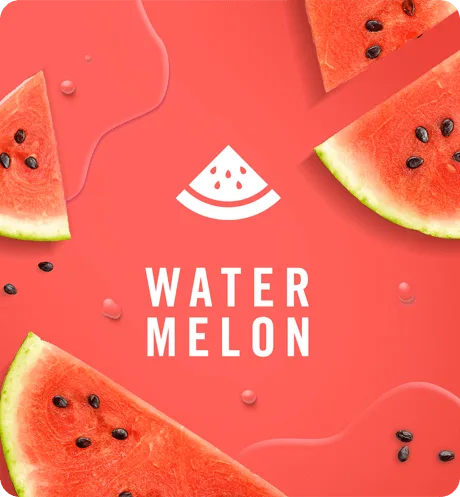 Watermelon PLUG Air Freshener | Febreze