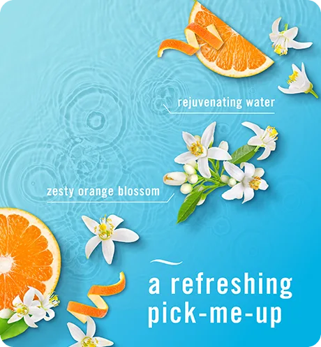 Refresh & Energize | Febreze PLUG Scent Booster