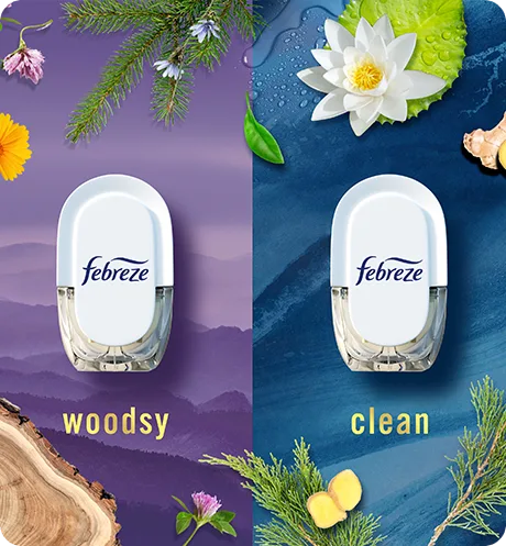 Luxe Collection Double Scent Pack | Febreze PLUG