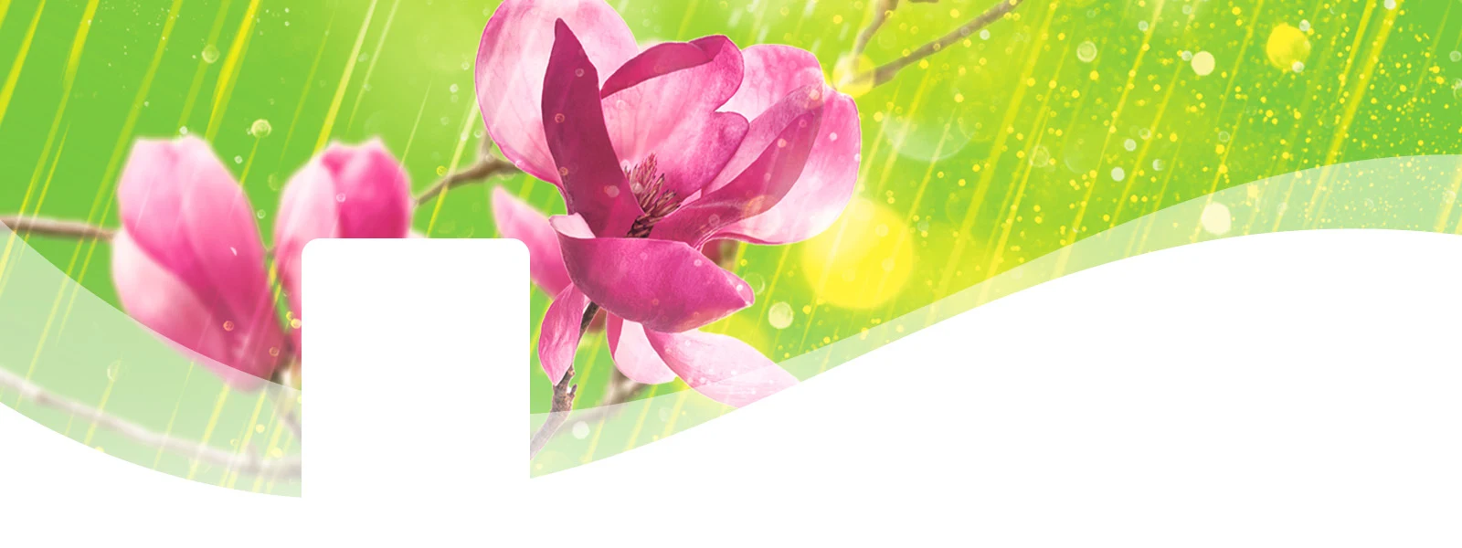 Morning Spring Showers Air Mist | Febreze AIR