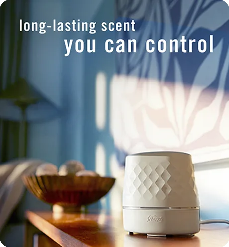 Refresh & Energize | Febreze PLUG Scent Booster