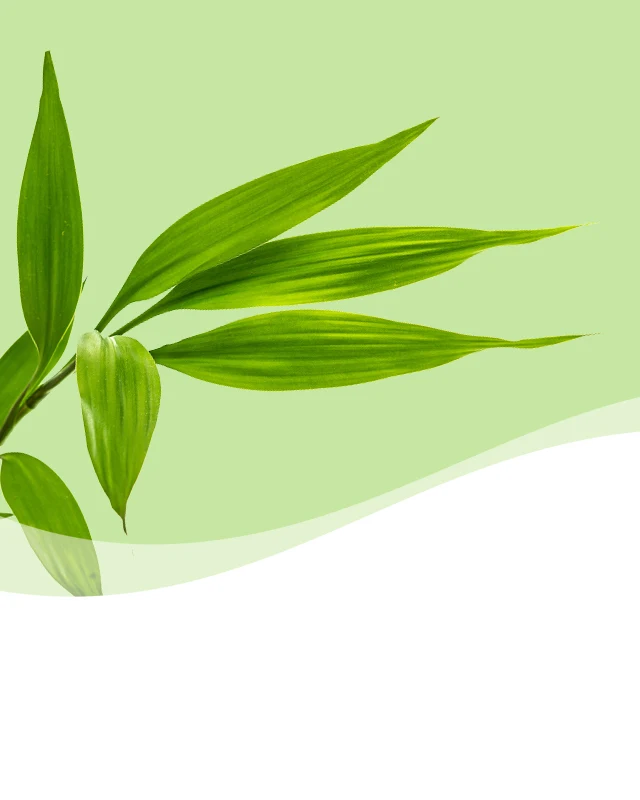 Bamboo-Scented Pluggable Air Freshener | Febreze