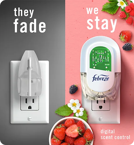 Berry & Bramble PLUG Air Freshener | Febreze