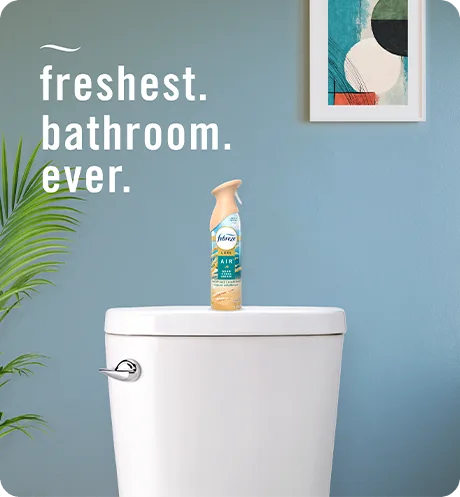 Warm Ocean Breeze Air Mist | Febreze AIR