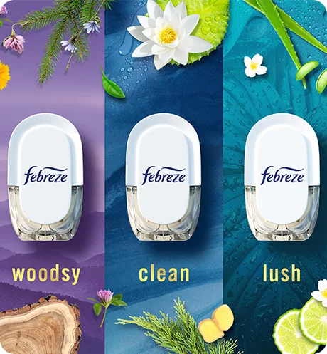 Luxe Collection Variety Pack | Febreze PLUG