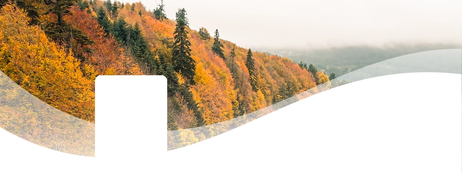 Crisp Fall Breeze Air Mist | Febreze AIR