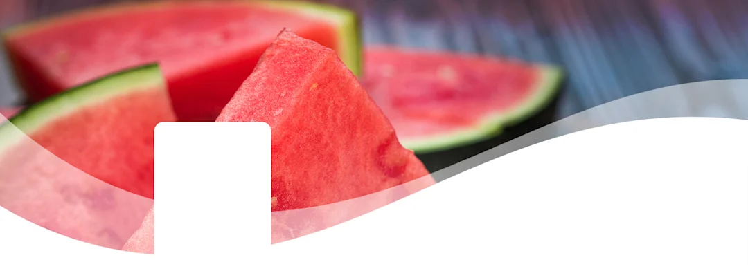 Watermelon PLUG Air Freshener | Febreze