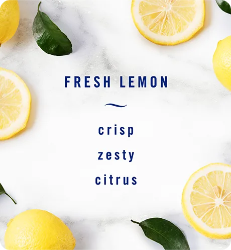 Fresh Lemon-Scented Pluggable Air Freshener | Febreze