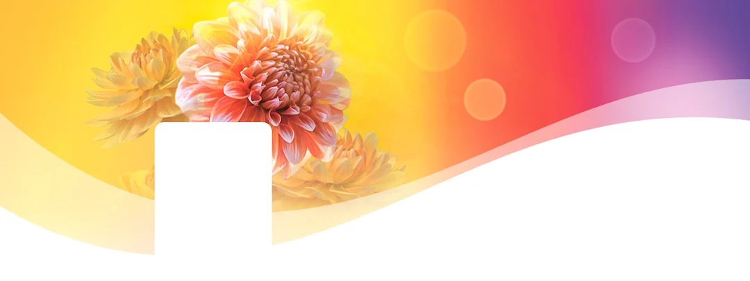 Summer Golden Hour BATHROOM | Febreze