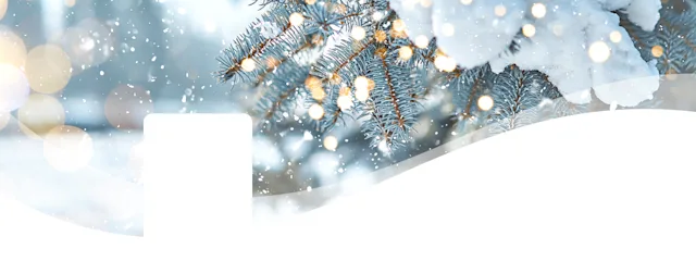 Serene Snowfall BATHROOM | Febreze