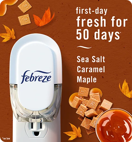 Sea Salt Caramel & Maple | Febreze PLUG