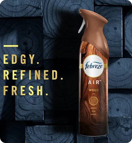 Rainforest Air Mist | Febreze AIR