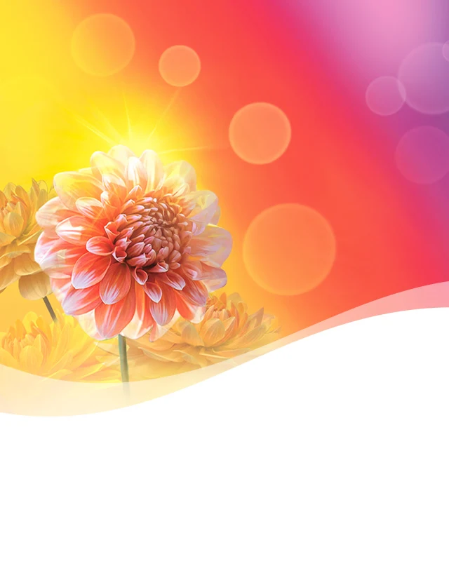 Summer Golden Hour | Febreze PLUG