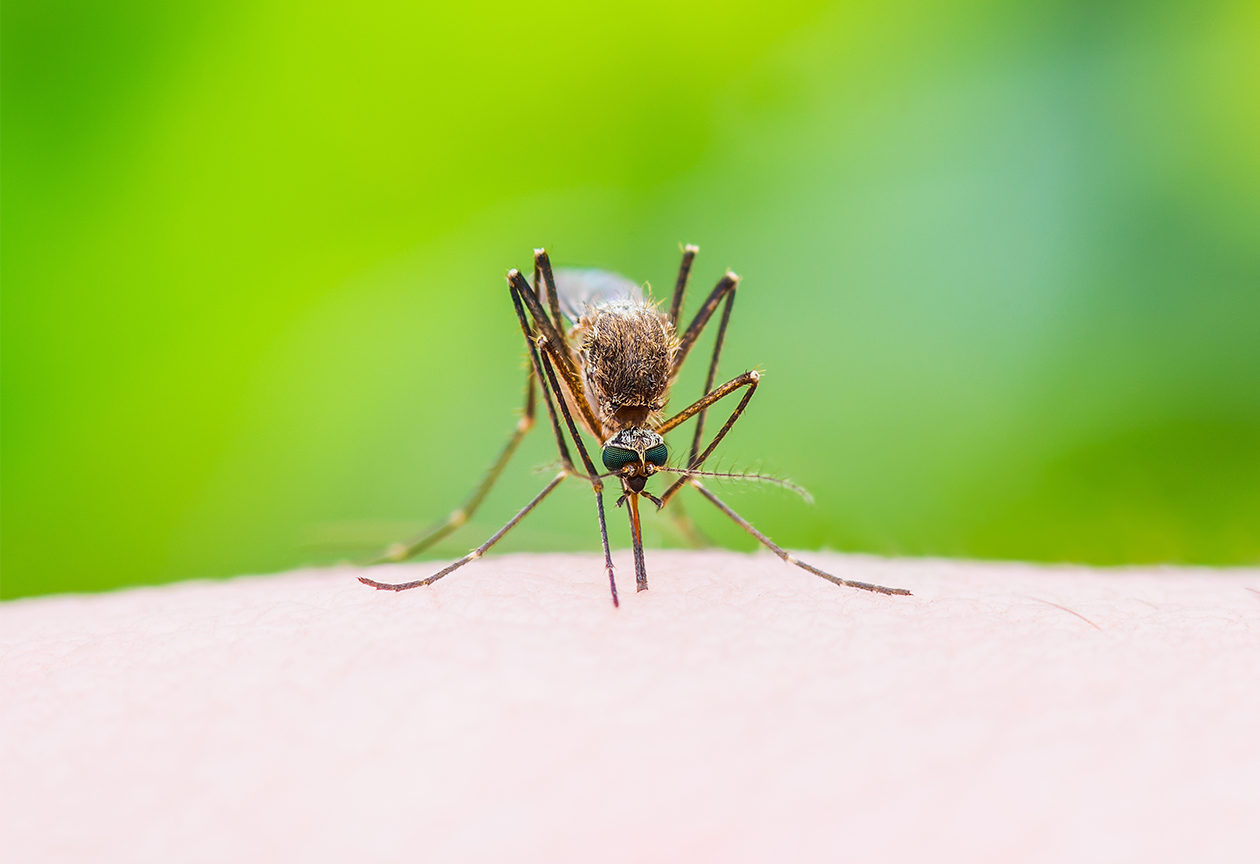 Svømmekløe (cercariedermatitt) - forebygging og behandling - Apotek 1