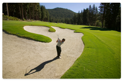 Book Vacation Packages | Sun Country Airlines