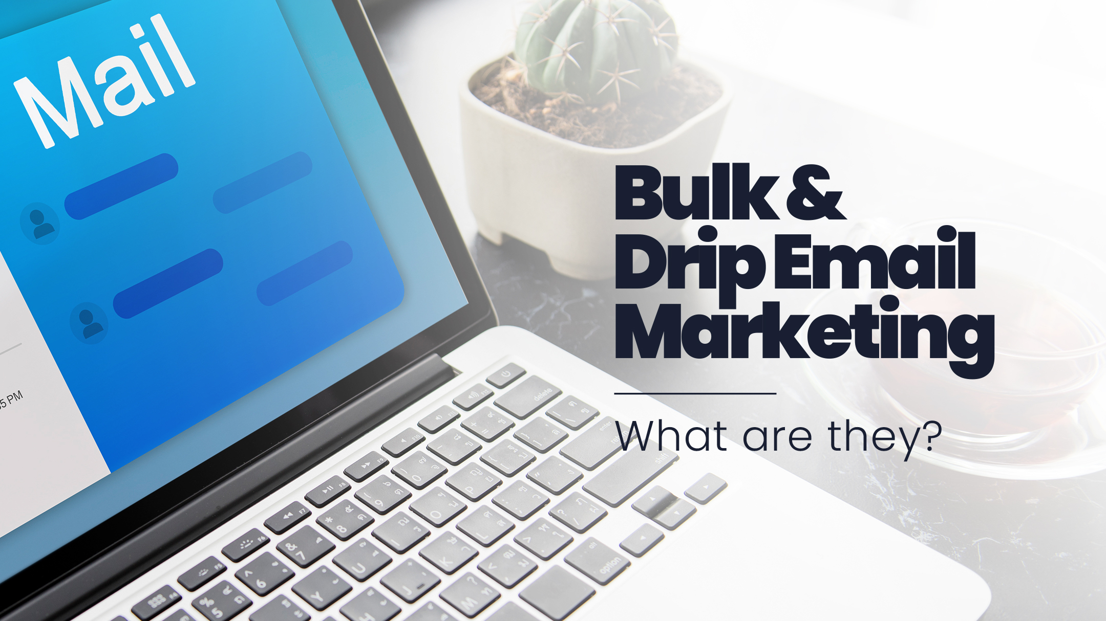 Basics of Bulk & Drip Email Marketing: What You Need to Know