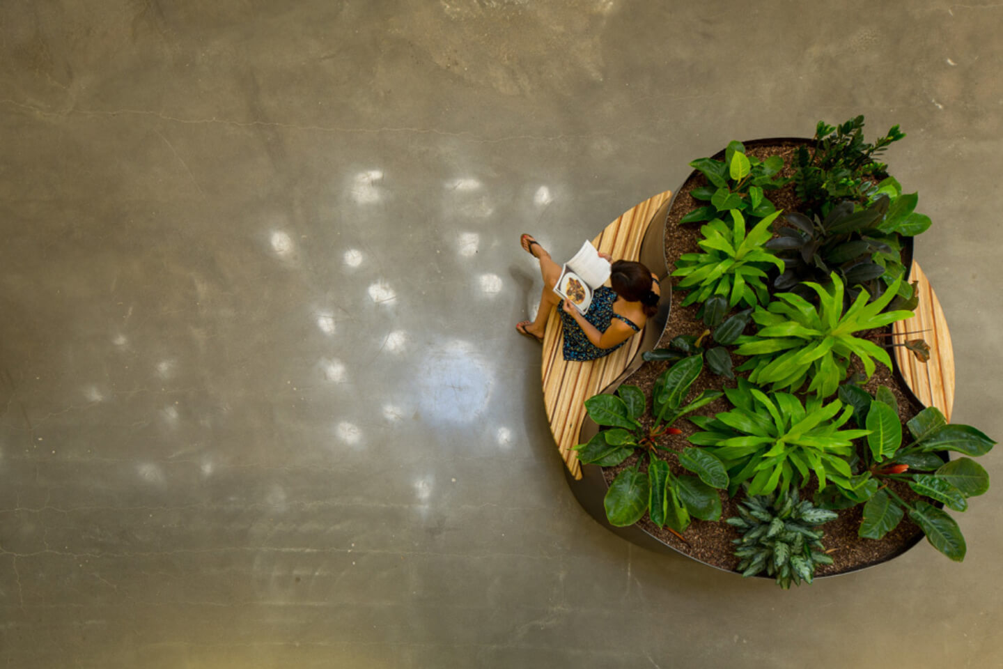 Lumina / Boutique Living in Lower Highlands (LoHi) Denver.