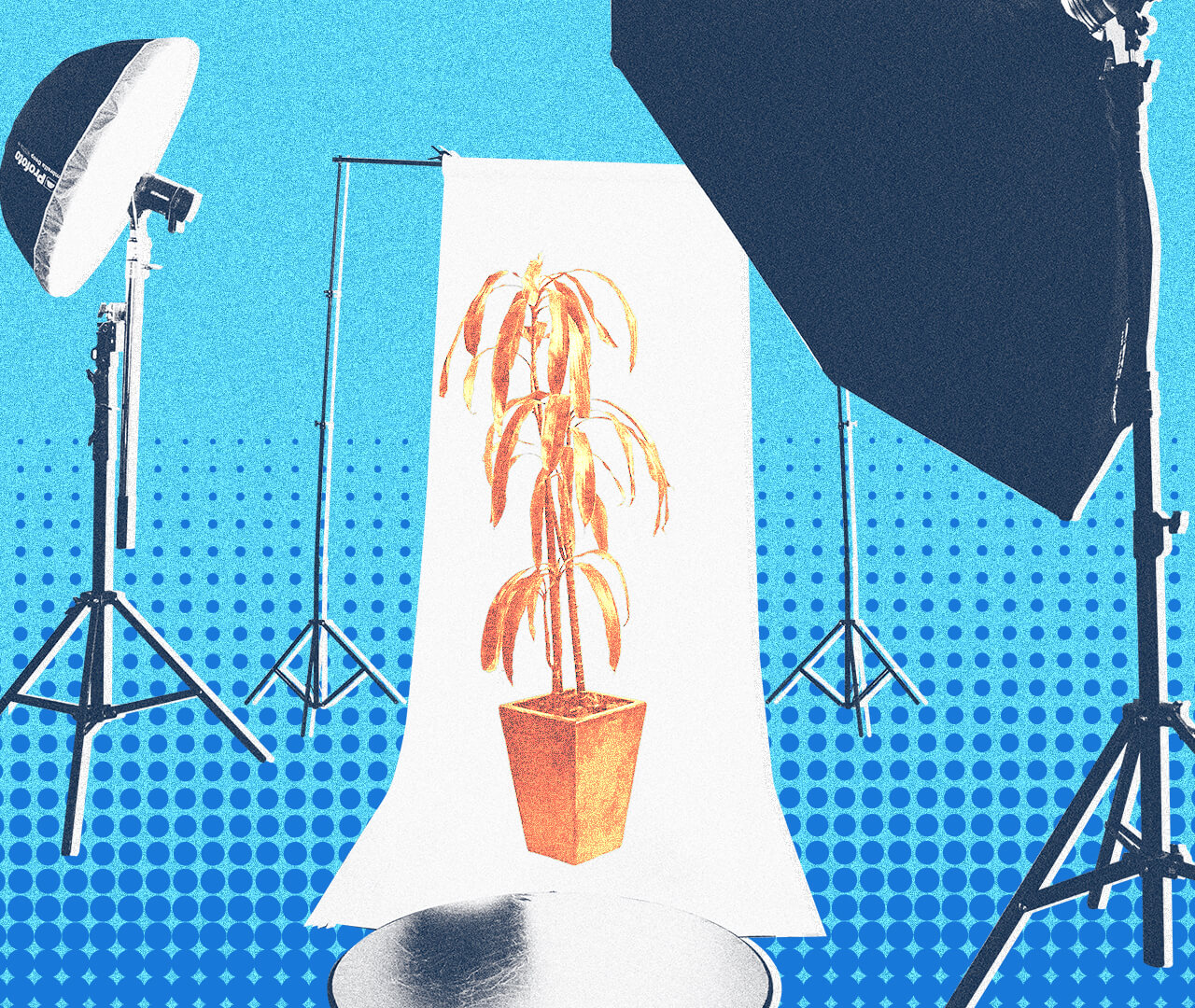 Amazon Product Image Requirements: The Ultimate Guide | Perpetua