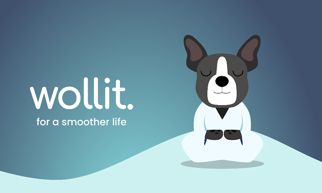 UK-based ‘income-smoother’ Wollit receives £1m in seed funding - AltFi
