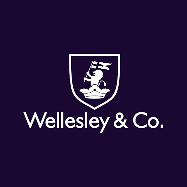Wellesley & Co. Investor Guide - AltFi