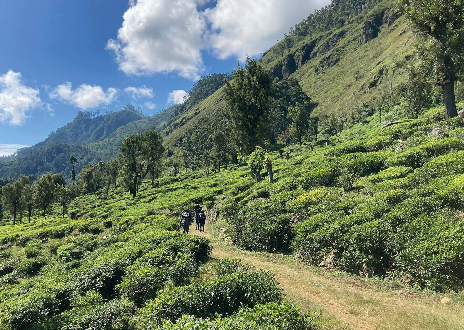 Hanthana to Galaha (Stage 1) | Rapid Adventures