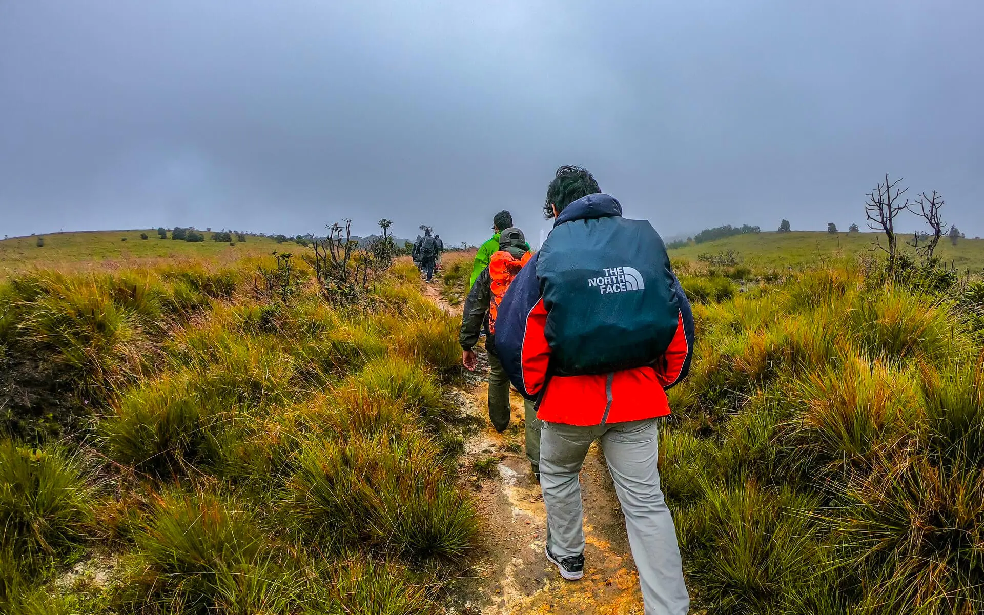 A Hike through the Nature Trail of Horton Plains | Rapid Adventures