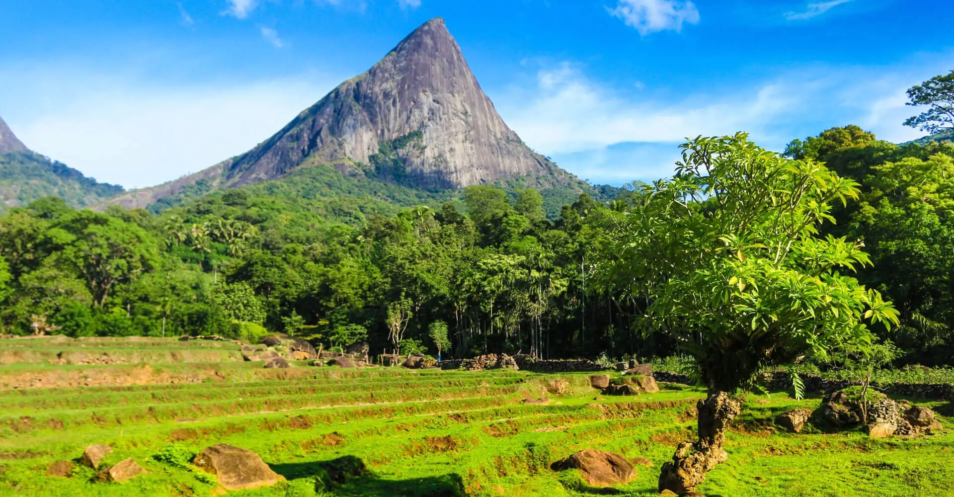 Meemure - Sri Lanka’s Hidden Paradise for the Wild at Heart | Rapid ...