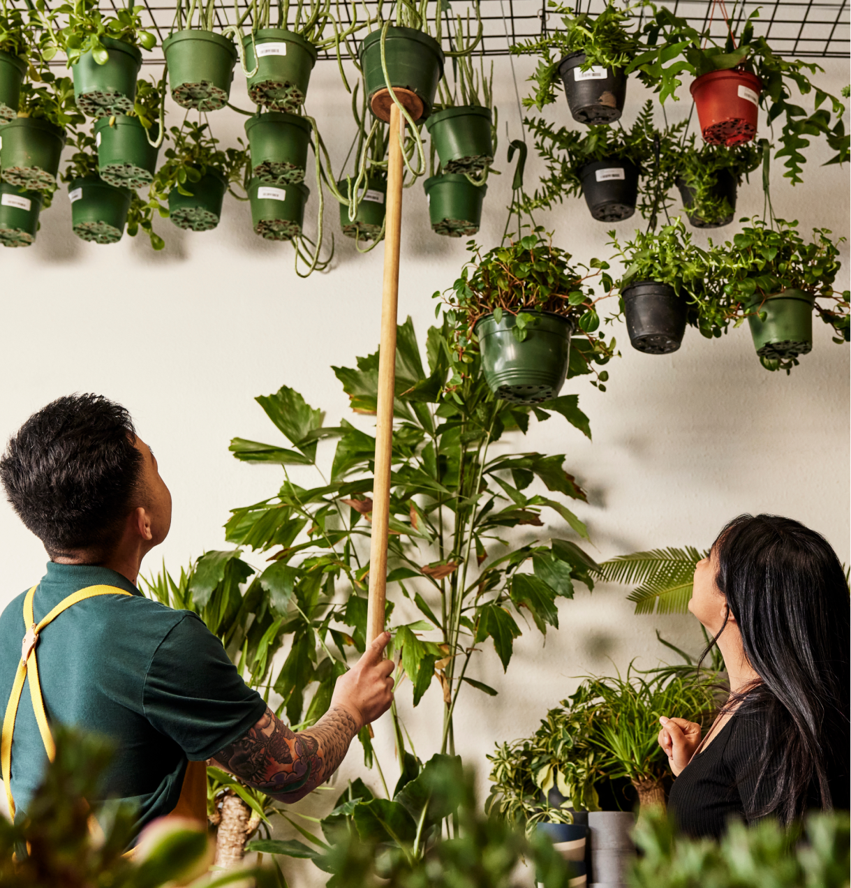 Customer Loyalty Program Software | Square Loyalty