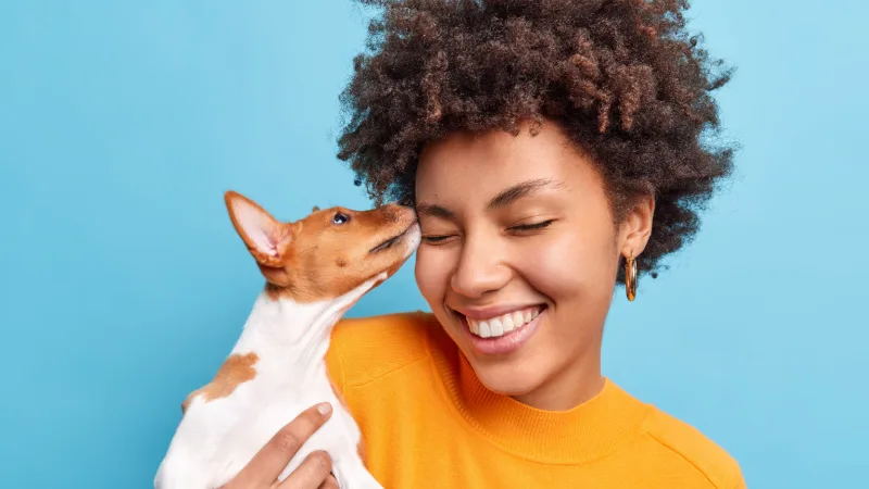 Adopting a Pet: Things To Consider | AKC Pet Insurance