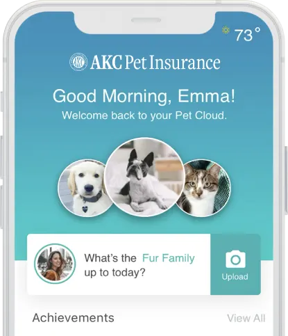 File a Pet Insurance Claim | AKC Pet Insurance