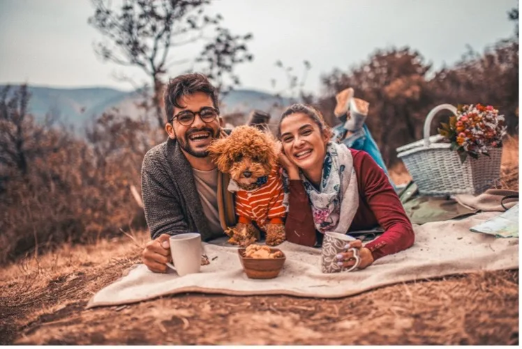 The Ultimate Fall Bucket List for Your Dog