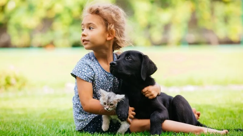 Is Having a Pet with Young Children a Good Idea?
