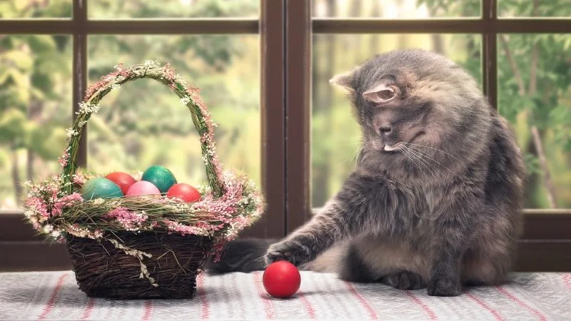 6 Essential Easter Pet Safety Tips