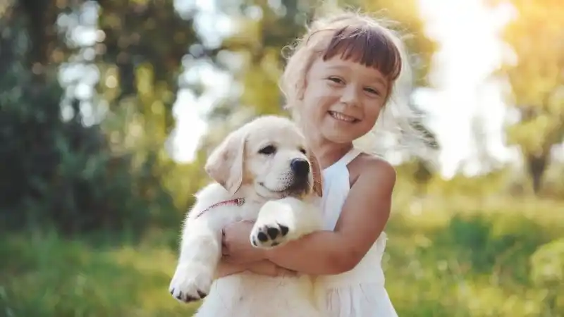 Understanding Pet Insurance: Pre-Existing Conditions | AKC Pet Insurance