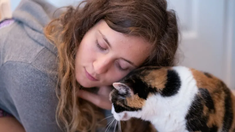 Here’s How Cats Show Affection