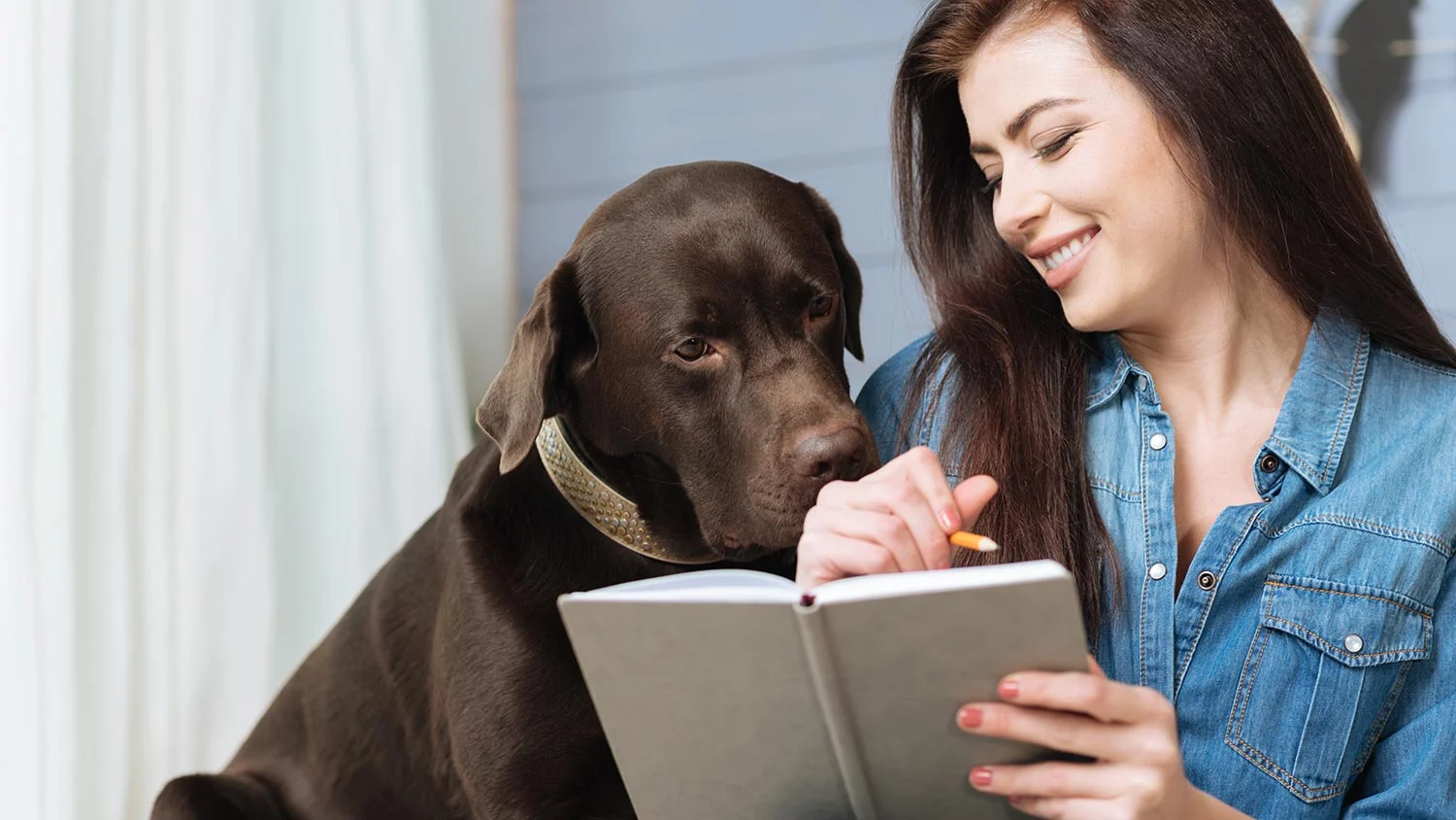 Puppy Journal: Document Your Dogs Life | AKC Pet Insurance