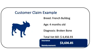 Pet Insurance Explained: Initial 30 Days of Pet Insurance Coverage