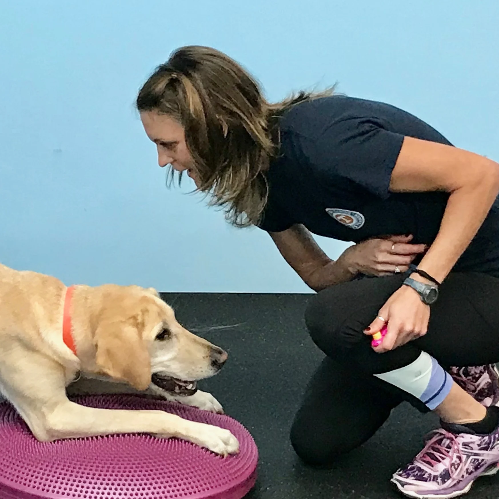 Sprained Dog Tail: Cold Tail Syndrome in Dogs | AKC Pet Insurance