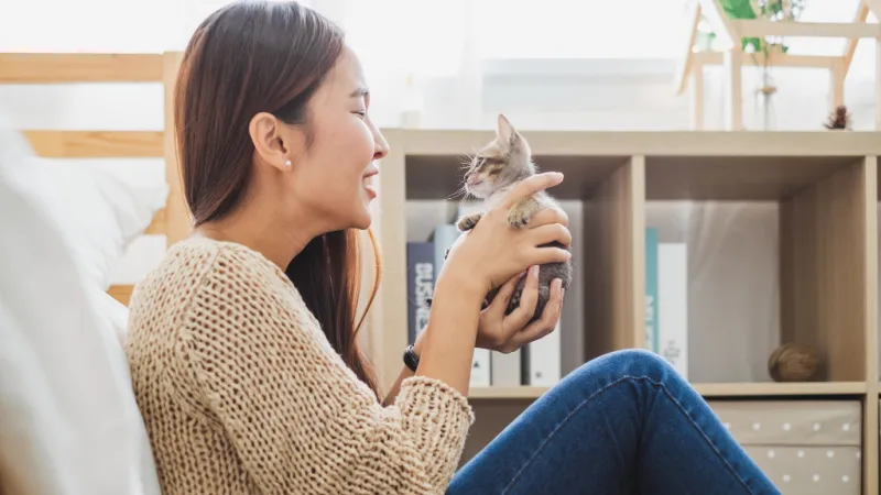 Cat Ownership 101 – The Essentials to Keeping Your New Cat Happy and ...