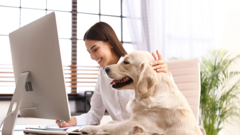 Want to Bring Your Dog to Work?