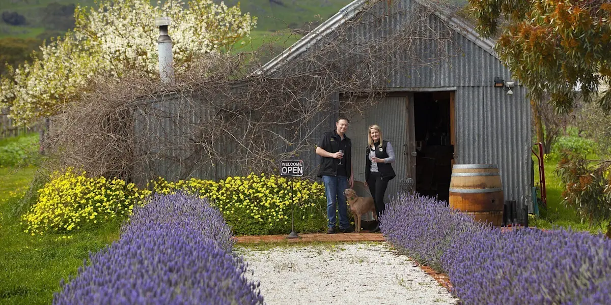 Hart of the Barossa, Barossa Valley - Book a Wine Tasting