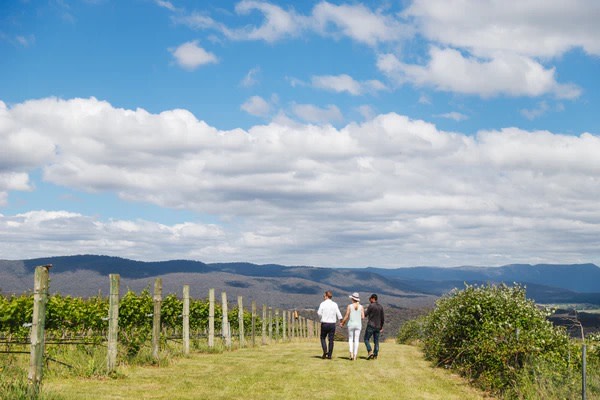 Obsession Wines, Tumbarumba - Book a Wine Tasting