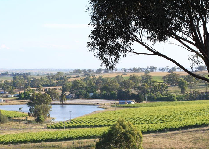 7 best Hilltops Wineries and Cellar Doors to visit in 2026